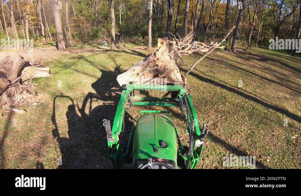 Green lift Stock Videos & Footage - HD and 4K Video Clips - Alamy