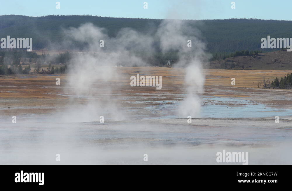 Hydrothermal ecosystem Stock Videos & Footage - HD and 4K Video Clips ...