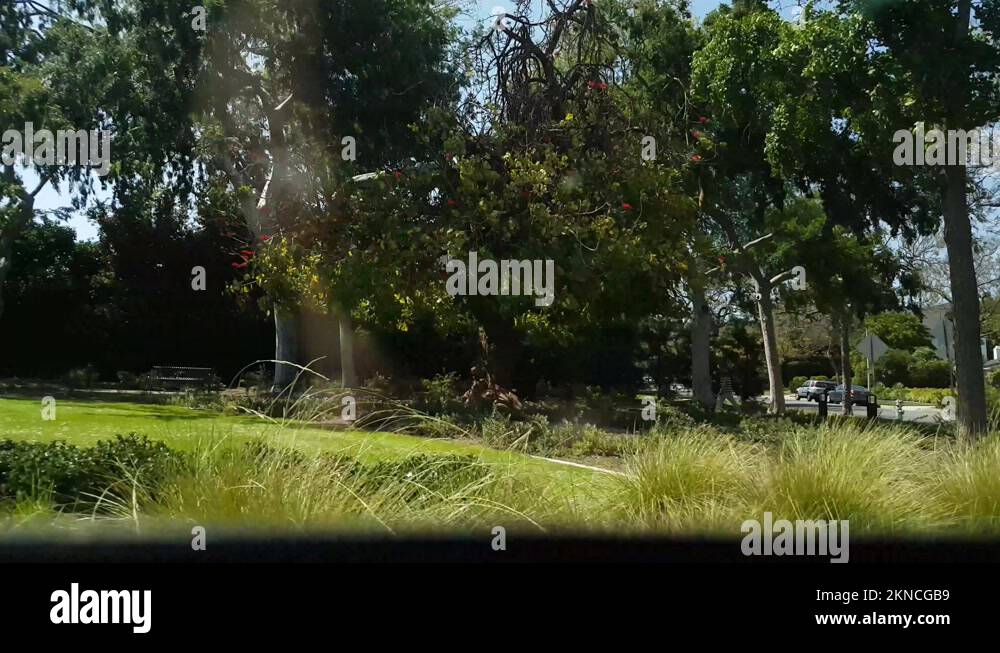 Driving in Beverly Hills California USA, Green Parks in Residential ...