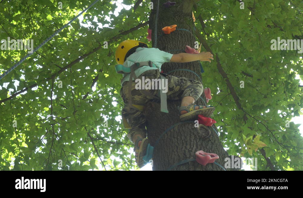 Little boy climbing a tree Stock Videos & Footage - HD and 4K Video ...
