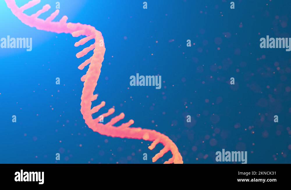 mRNA strand rotates on orange backdrop with flying debrises. mRNA ...