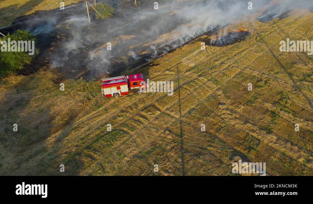Field response team Stock Videos & Footage - HD and 4K Video Clips - Alamy