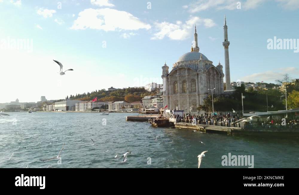 Beautiful Scenery of Birds in Front of Ortaköy Mosque in Istanbul Stock ...