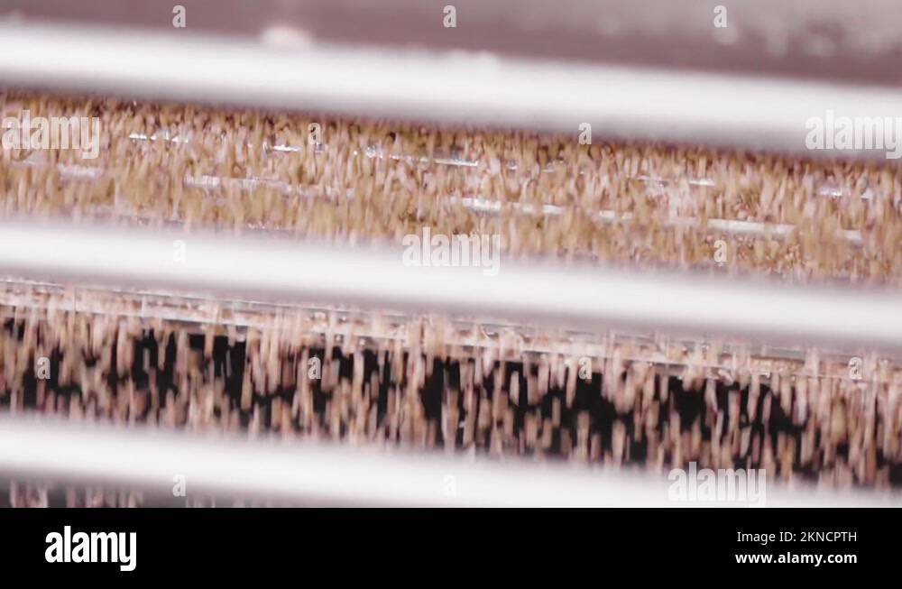 Grain hulling mill Stock Videos & Footage - HD and 4K Video Clips - Alamy