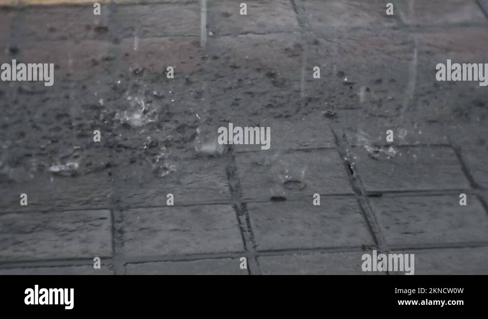 rain splash on the ground. floods due to the heavy rain in wet season ...