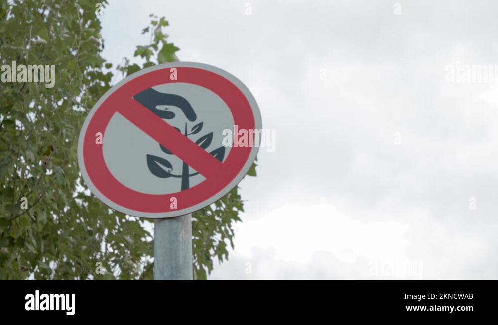 Eco zone Stock Videos & Footage - HD and 4K Video Clips - Alamy