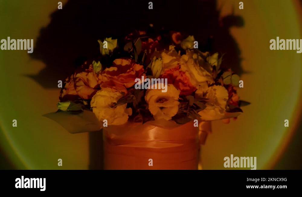 Dramatic floral bouquet Stock Videos & Footage - HD and 4K Video Clips ...