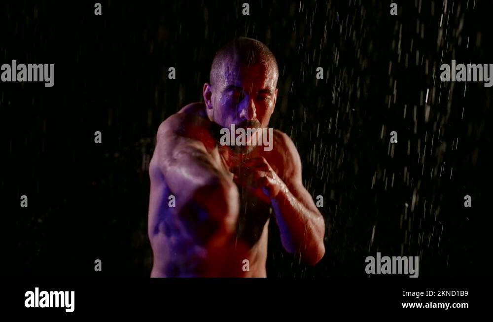 Martial arms Stock Videos & Footage - HD and 4K Video Clips - Alamy