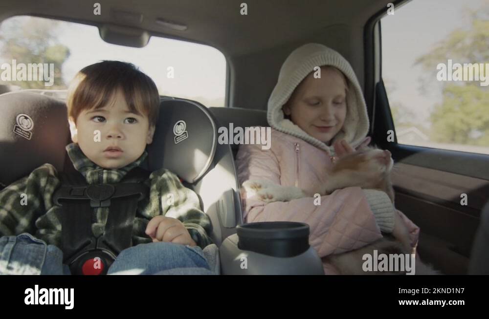 Drive with care children Stock Videos & Footage - HD and 4K Video Clips ...