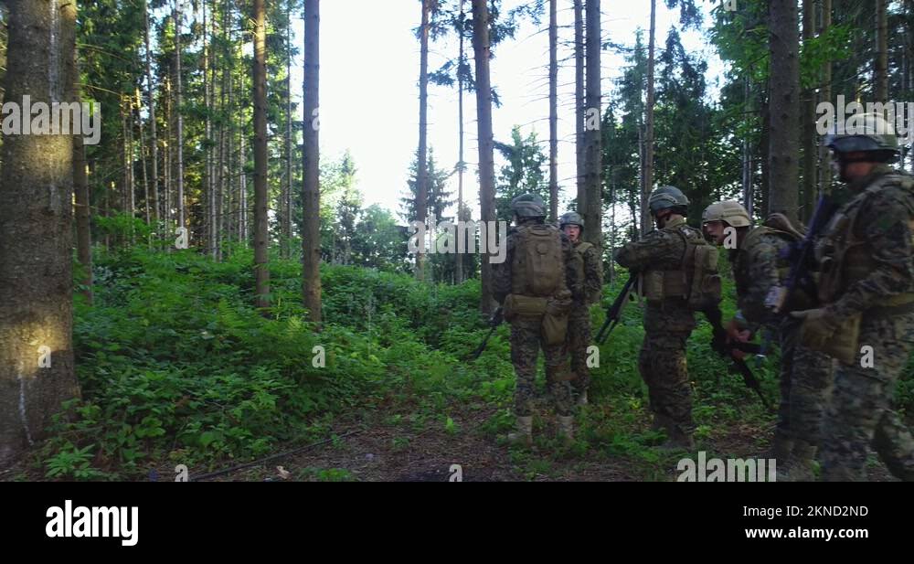 Army forest Stock Videos & Footage - HD and 4K Video Clips - Alamy