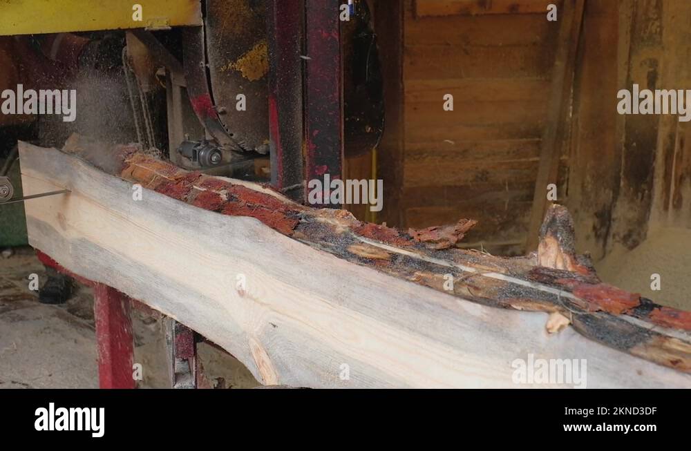 Processing and sawing timber at a sawmill. The production process at the sawmill Stock Video ...