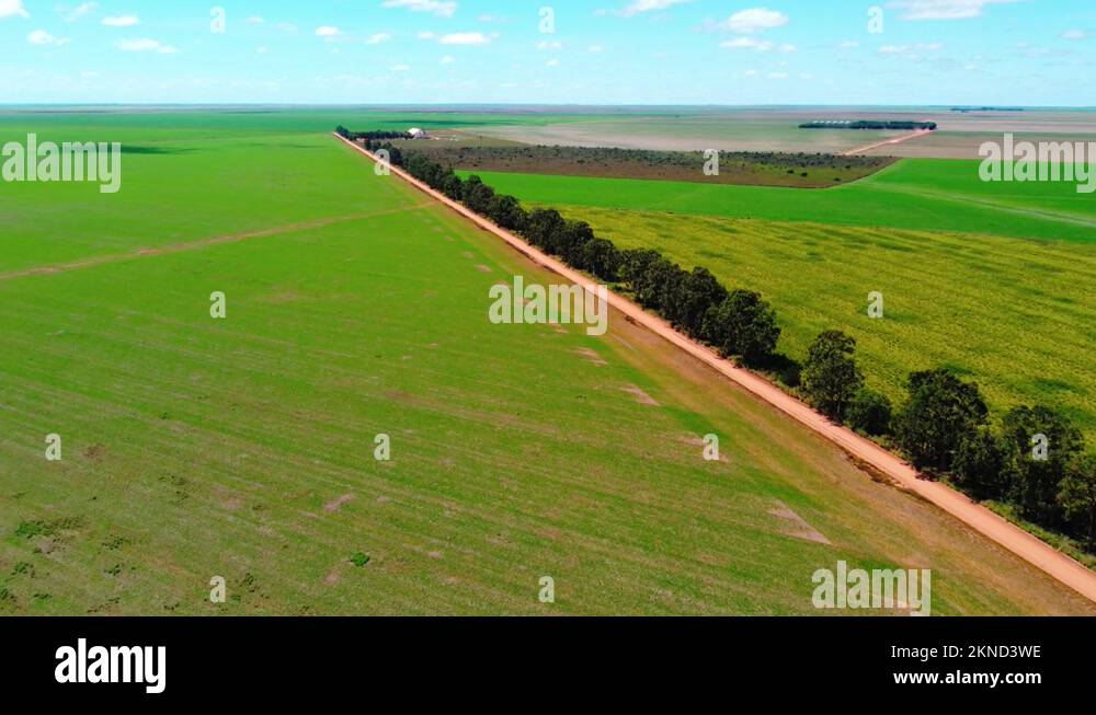 Slavery plantations Stock Videos & Footage - HD and 4K Video Clips - Alamy