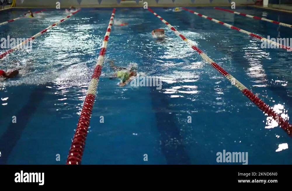 swimmers in the pool competing in triathlon race and in-water swimming ...
