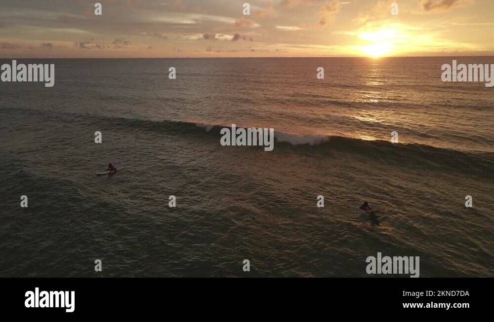 Surf vibes Stock Videos & Footage - HD and 4K Video Clips - Alamy