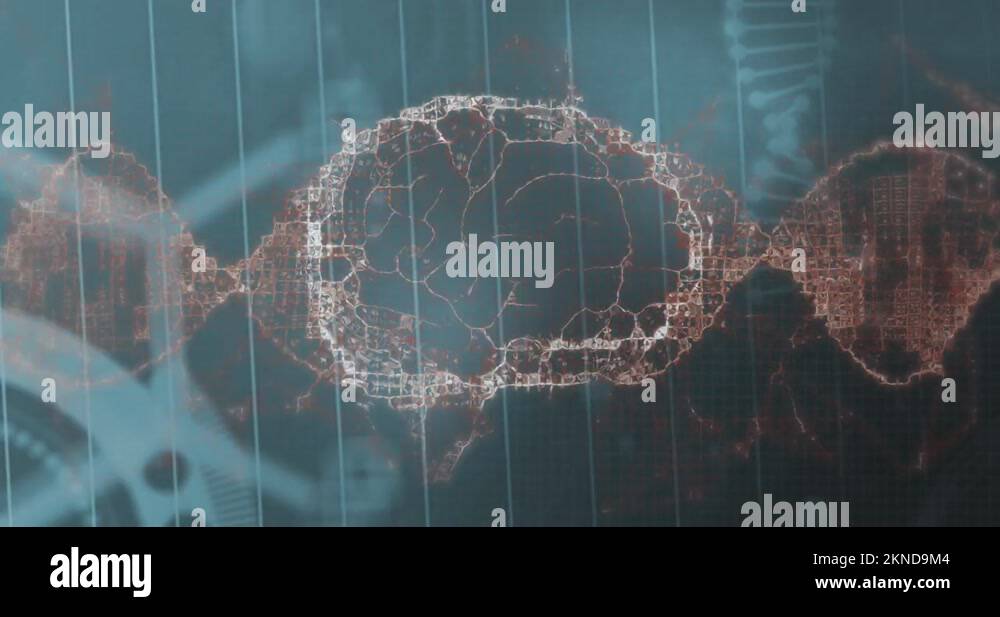 Animation of dna strand and human brain spinning over scope scanning ...