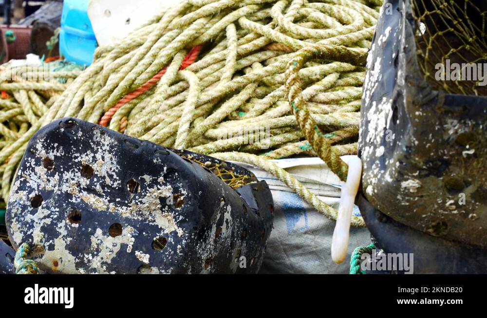 Tangled fishing line rope Stock Videos & Footage - HD and 4K Video ...