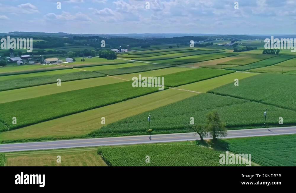 An Aerial Traveling View of Corn Fields and Harvesting Crops, with ...
