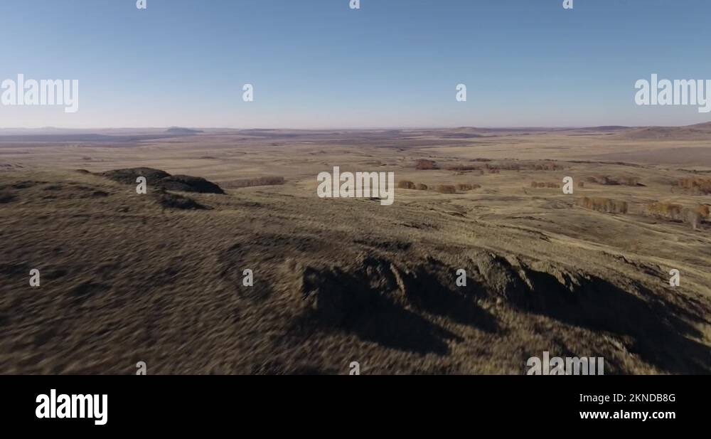 Arid hilly landscape with dry grass, dark sharp stones and yellow birch ...