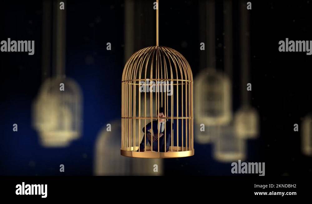 Cage art Stock Videos & Footage - HD and 4K Video Clips - Alamy