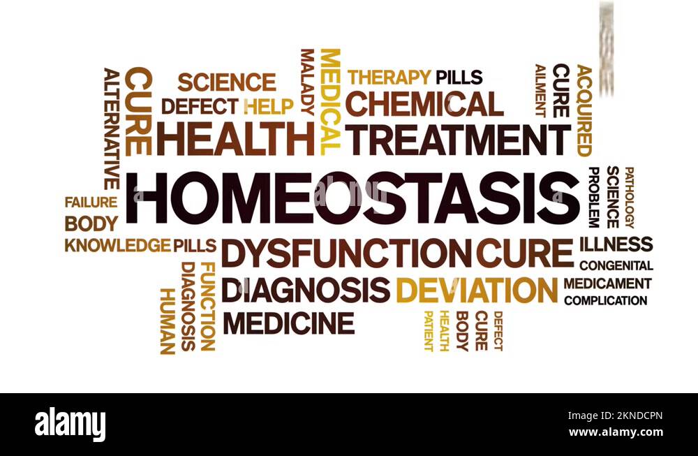 Homeostasis animated word cloud,animation text kinetic typography ...