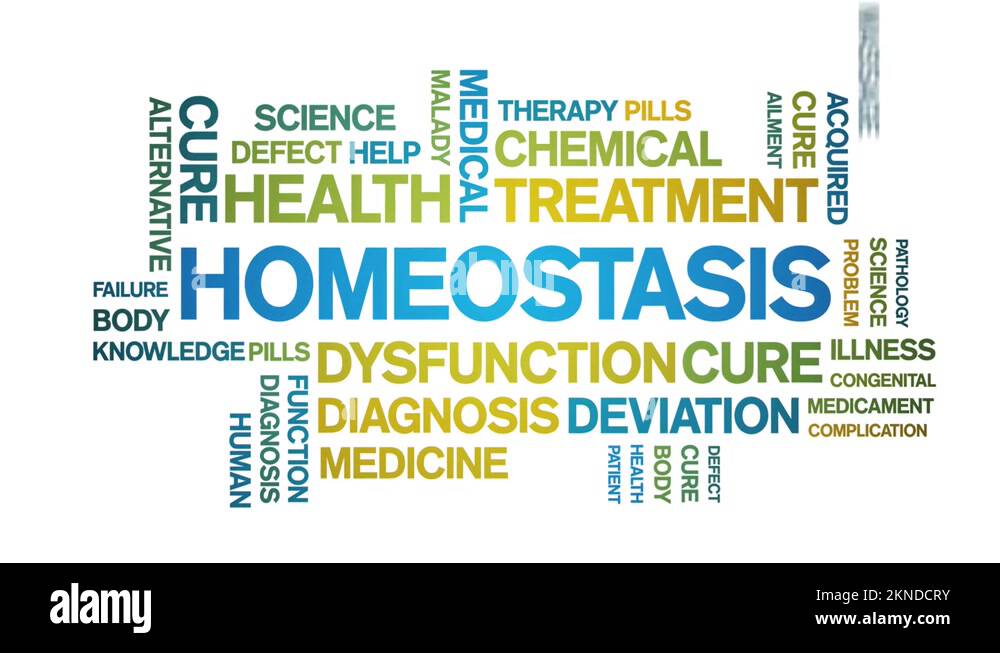 Homeostasis animated word cloud,animation text kinetic typography ...