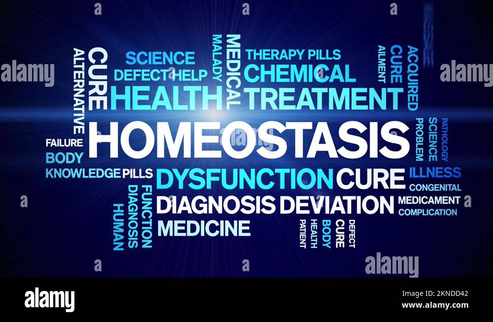 Homeostasis animated word cloud,animation text kinetic typography ...