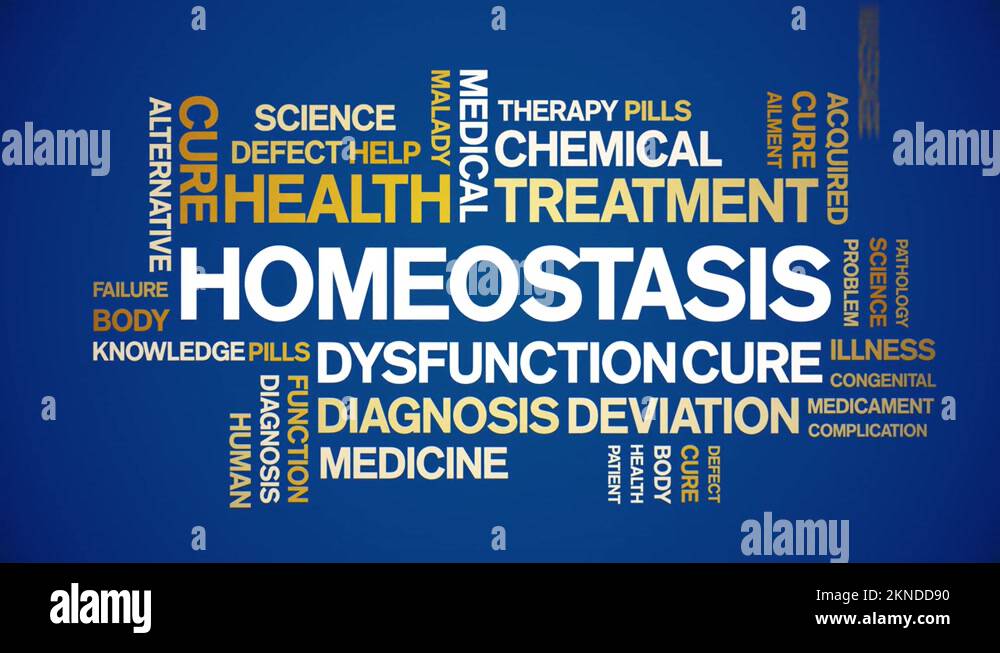 Homeostasis animated word cloud,animation text kinetic typography ...