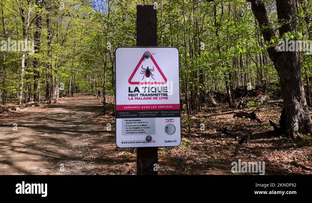 Control of ticks Stock Videos & Footage - HD and 4K Video Clips - Alamy