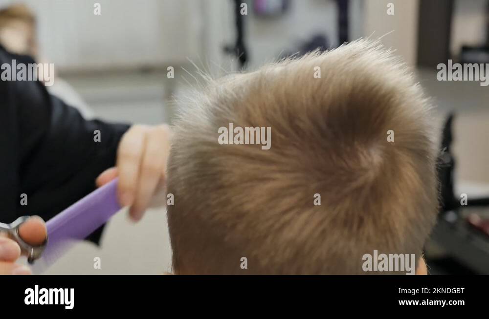 Hairs falling Stock Videos & Footage - HD and 4K Video Clips - Alamy