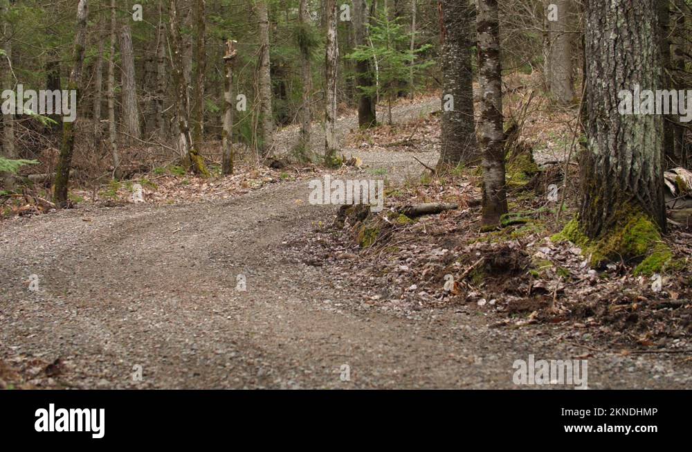 Curving trail Stock Videos & Footage - HD and 4K Video Clips - Alamy