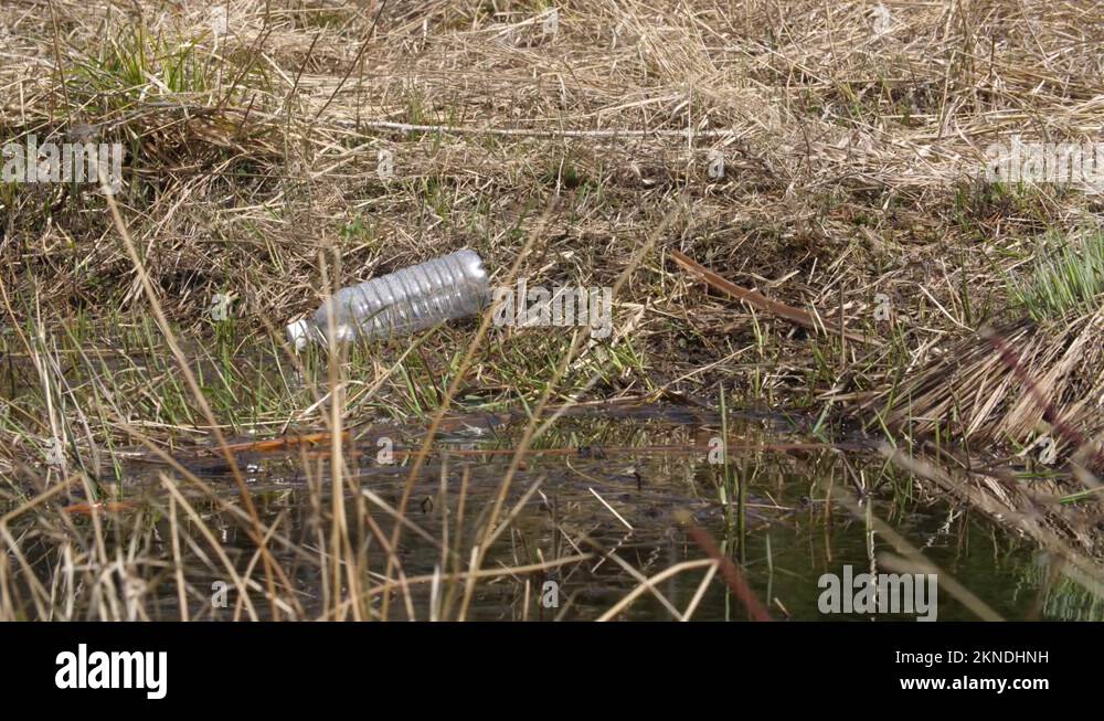 Wetlands and pollution Stock Videos & Footage - HD and 4K Video Clips ...