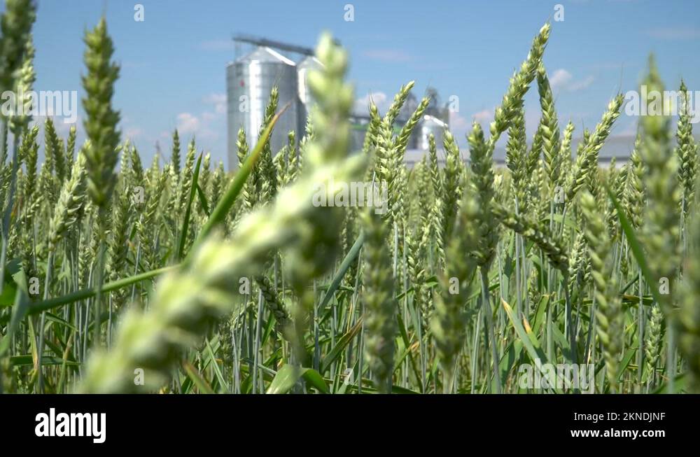 Wheat elevator Stock Videos & Footage - HD and 4K Video Clips - Alamy