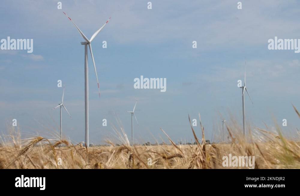 Wind turbines rotate in field producing energy at station Stock Video ...