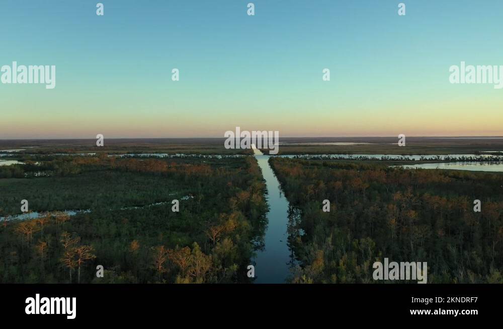 Bayou country Stock Videos & Footage - HD and 4K Video Clips - Alamy