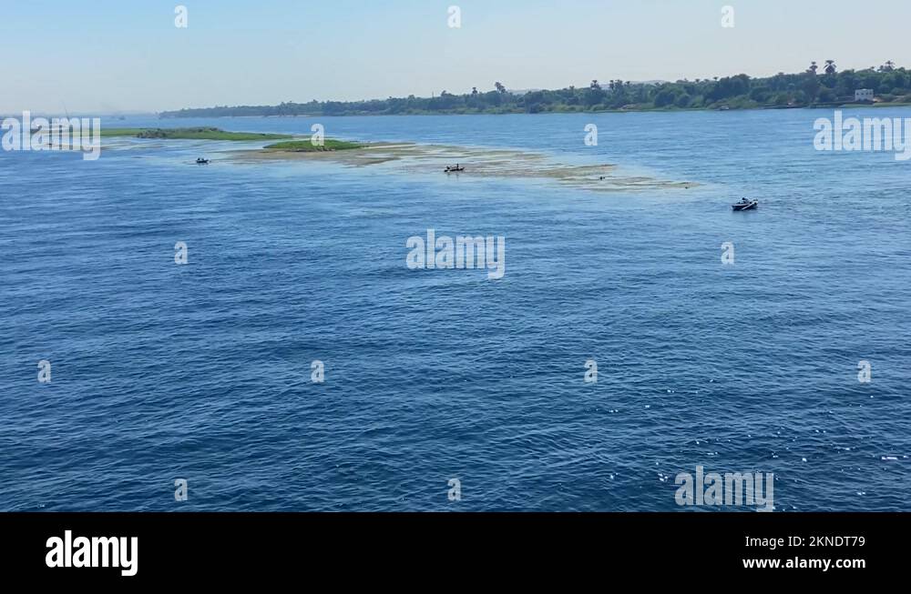 Reeds along the nile river Stock Videos & Footage - HD and 4K Video ...