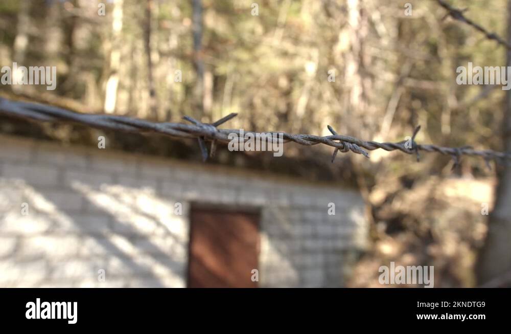 Barb wire fence building Stock Videos & Footage - HD and 4K Video Clips ...
