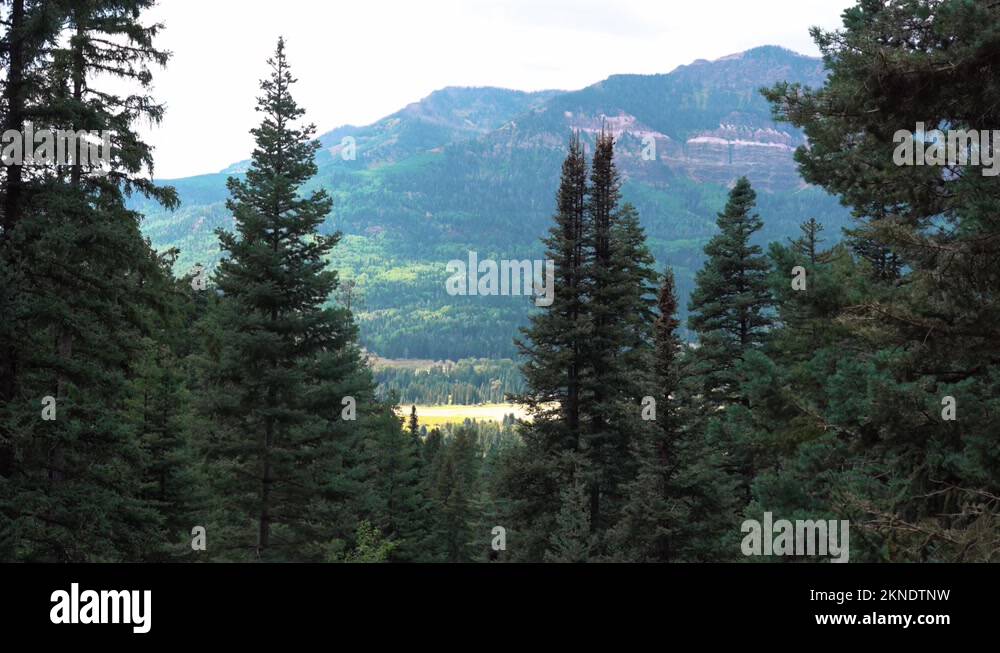 Scenic overlook and view of forest and pine trees with large mountain ...