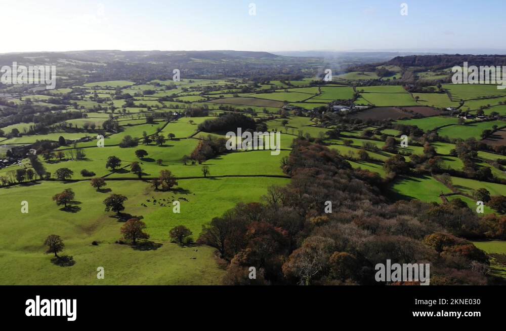 Otter valley Stock Videos & Footage - HD and 4K Video Clips - Alamy