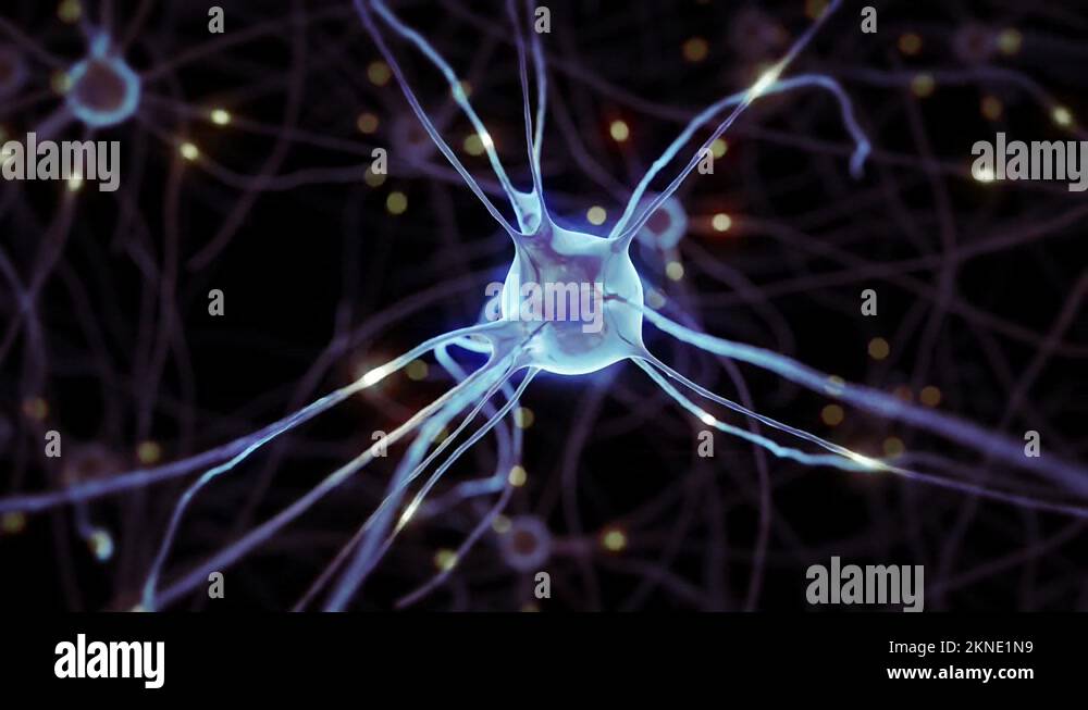 3d animation of the human nervous system with huge amount pulsing nerve ...