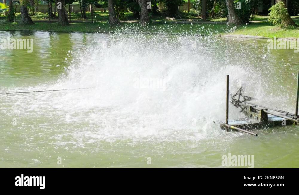 Water wheel in pond Stock Videos & Footage - HD and 4K Video Clips - Alamy