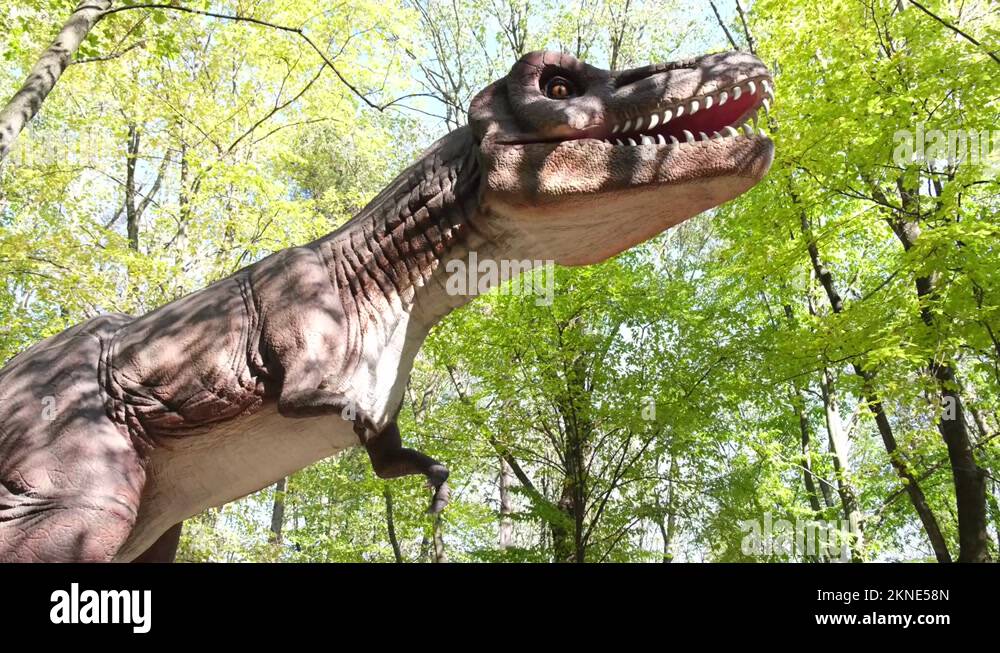 Jurassic dinosaurs Stock Videos & Footage - HD and 4K Video Clips - Alamy