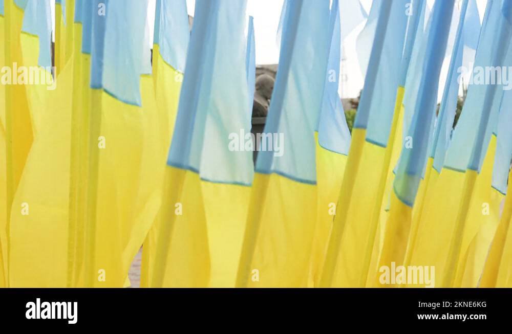 Ukrainian national symbol Stock Videos & Footage - HD and 4K Video ...