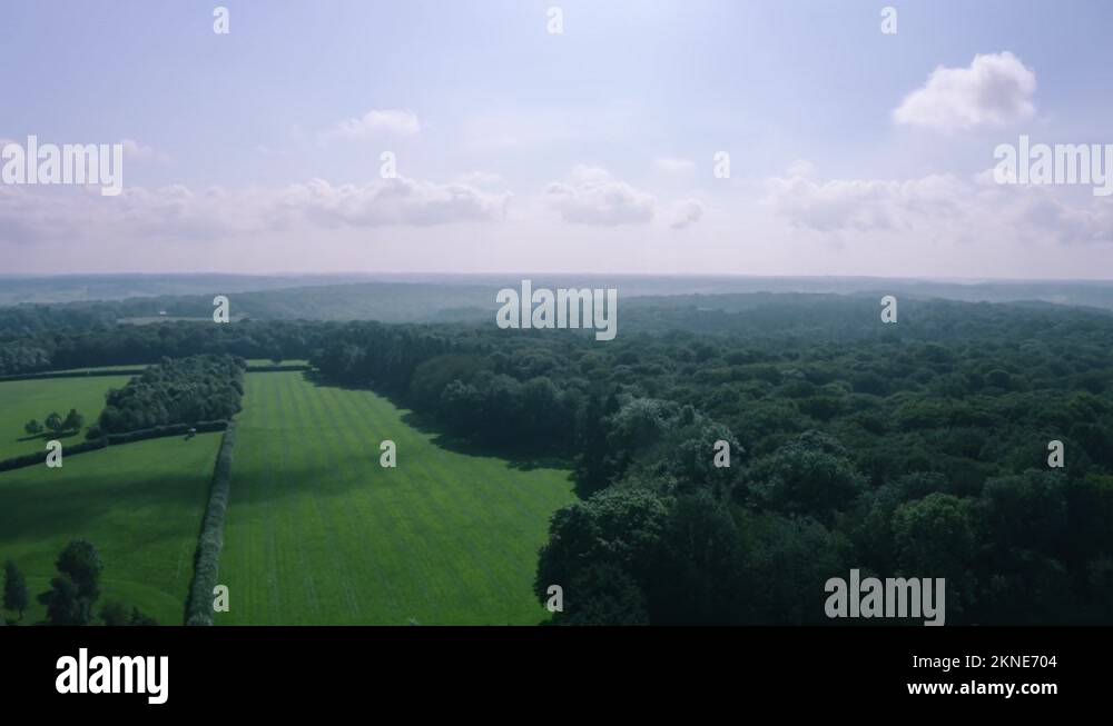 Summer woodland landscape england Stock Videos & Footage - HD and 4K ...