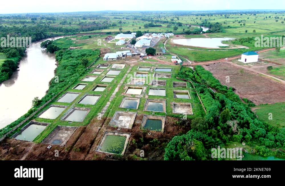Fish farming tank ponds are a growing business in Kokona, Nigeria as ...