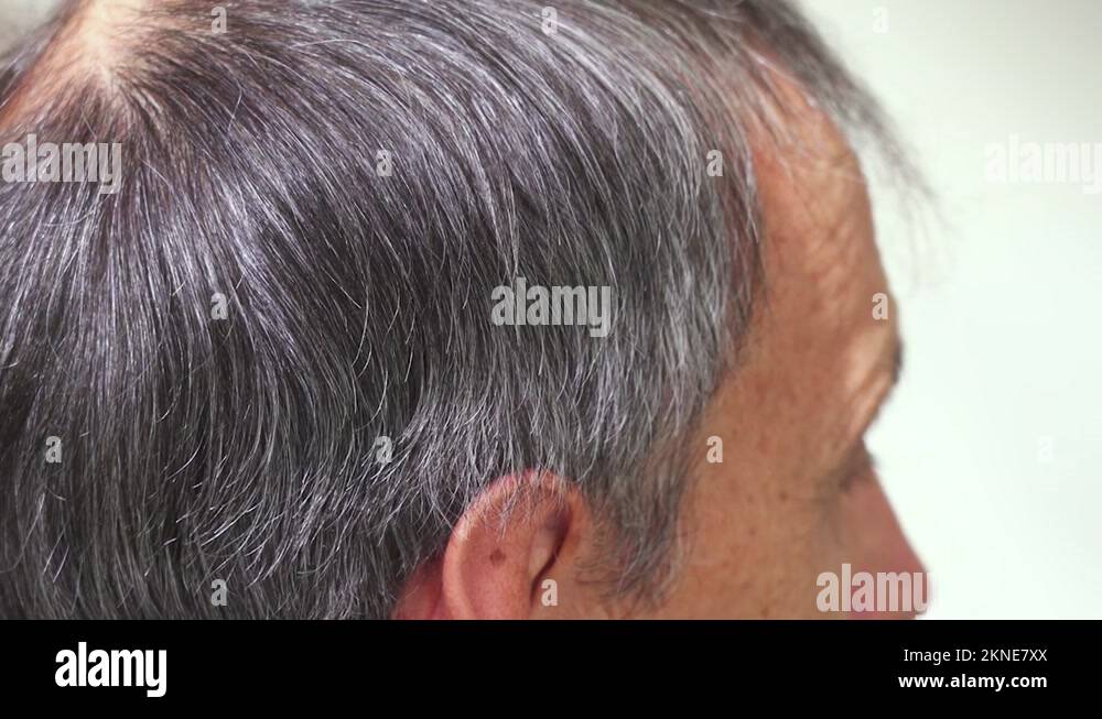 Gray hair head Stock Videos & Footage - HD and 4K Video Clips - Alamy
