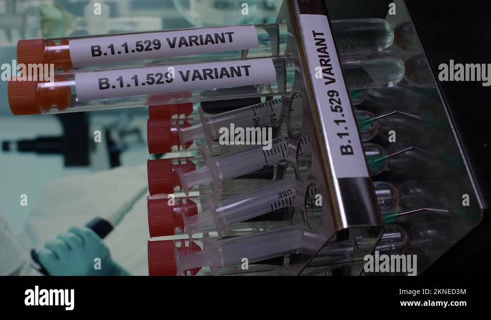 Research vertical Stock Videos & Footage - HD and 4K Video Clips - Alamy