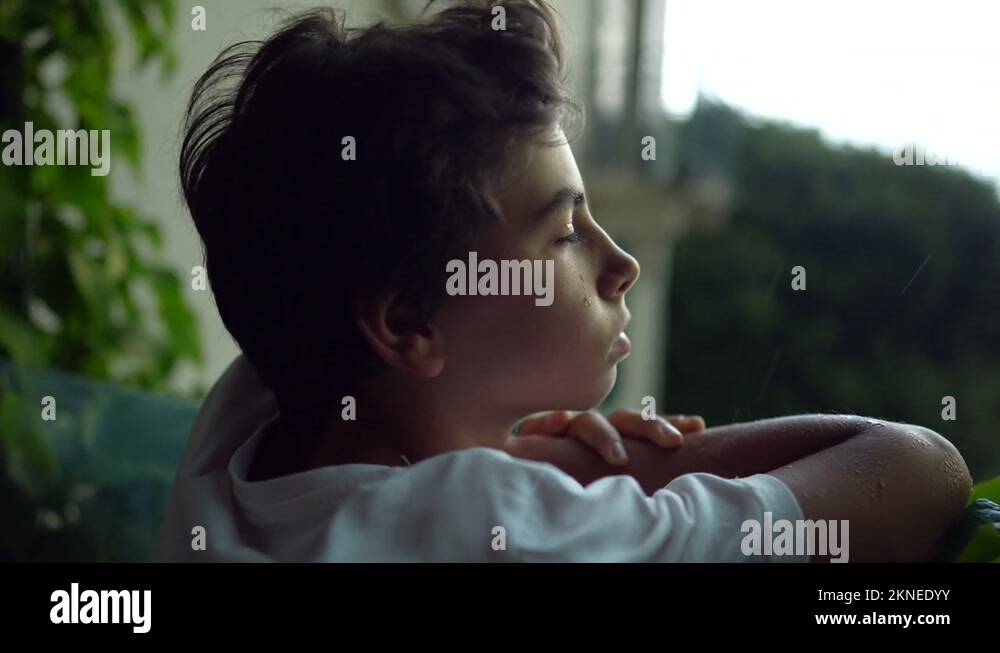 Wind windy day Stock Videos & Footage - HD and 4K Video Clips - Alamy