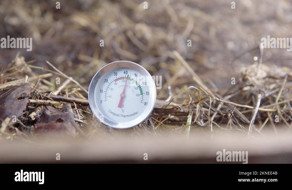 Compostthermometer Stock Videos & Footage - HD and 4K Video Clips - Alamy