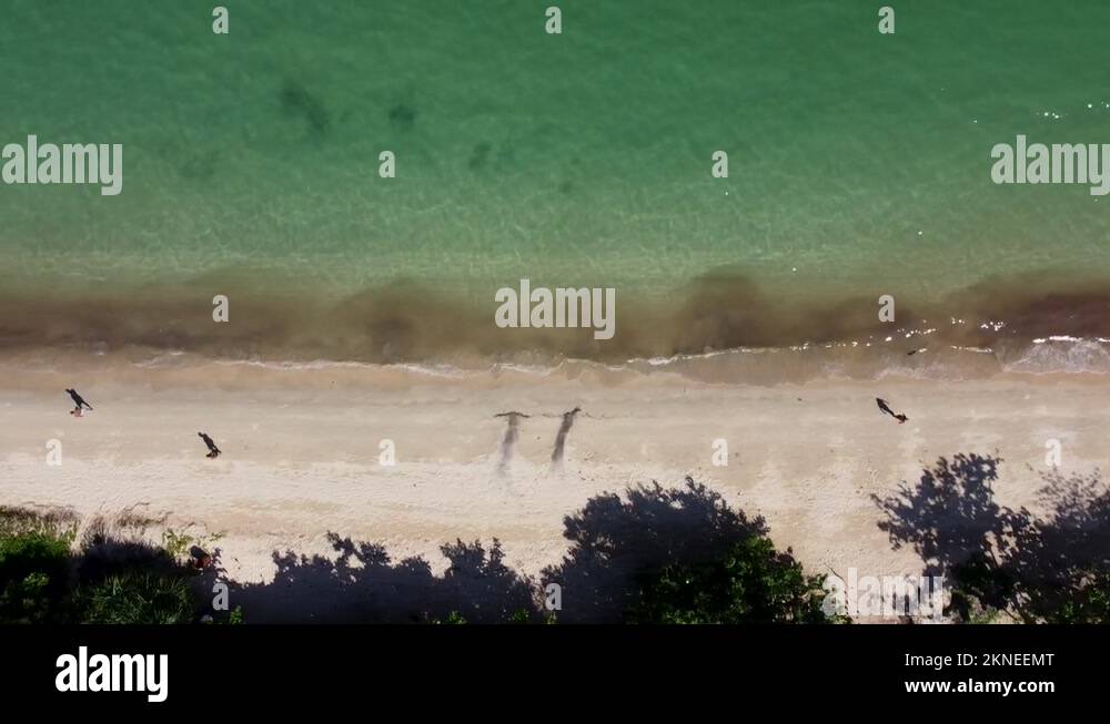 Mud line Stock Videos & Footage - HD and 4K Video Clips - Alamy