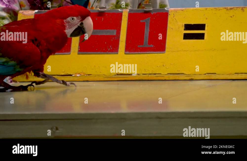 Number problem Stock Videos & Footage - HD and 4K Video Clips - Alamy